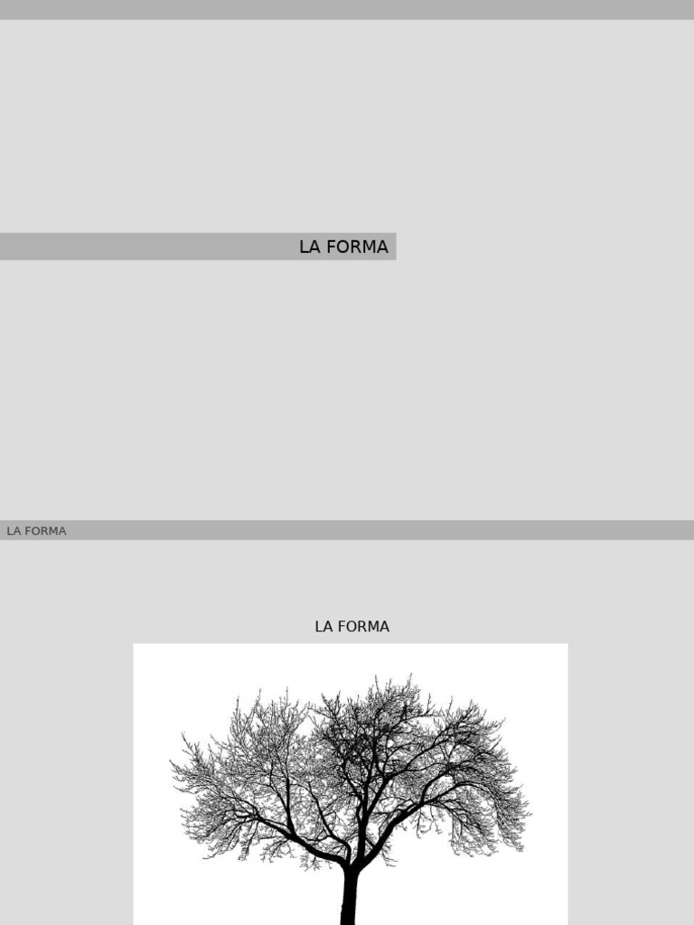 La Forma | PDF | Memoria | Información