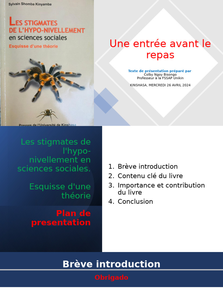 Les Stigmates de L'hypo-Nivellement en Sciences Sociales Colby | PDF