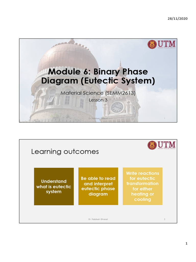 M6L3 (Binary Phase Diagram-Eutectic System) | PDF | Phases Of Matter | Materials Science