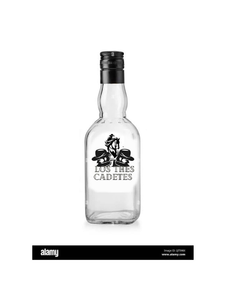 Logo Los Tres Cadetes | PDF