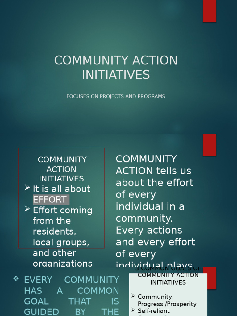 Community Action Initiatives | PDF