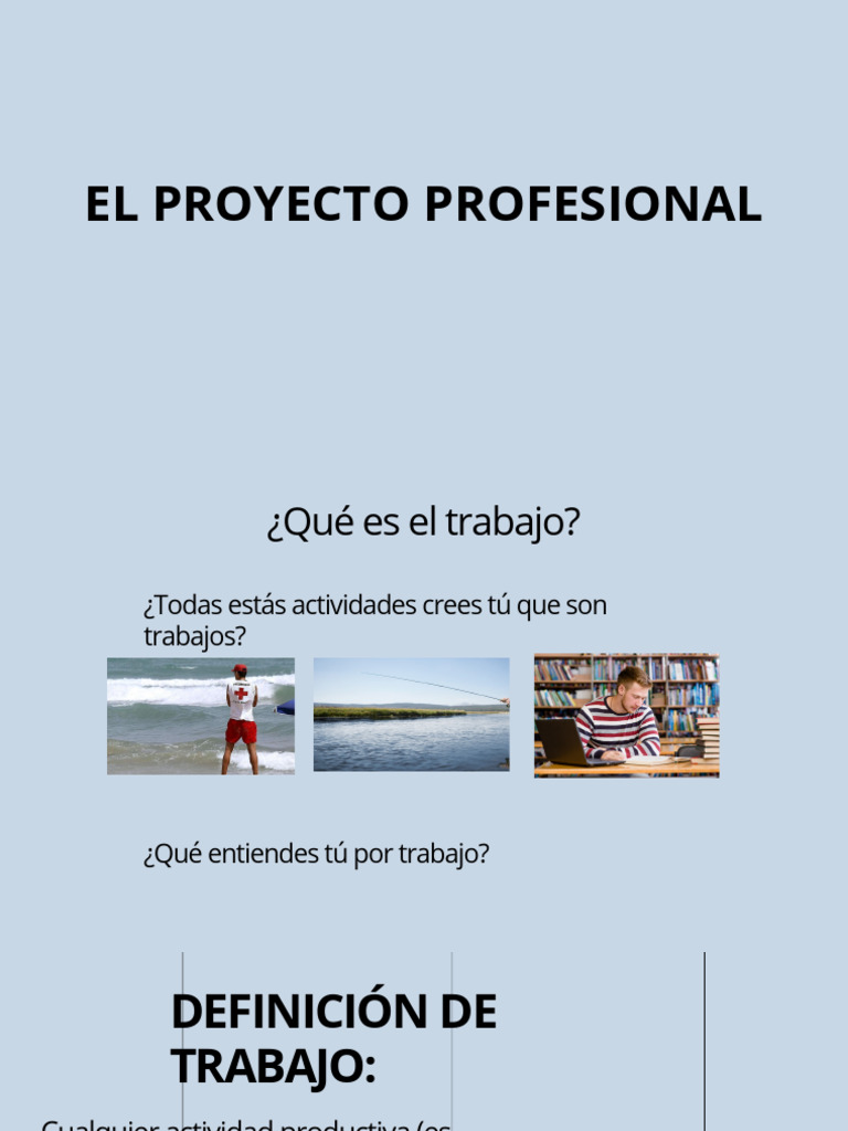 El Proyecto Profesional | PDF