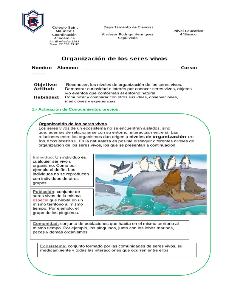 4°básico - Guía Organización Seres Vivos | PDF