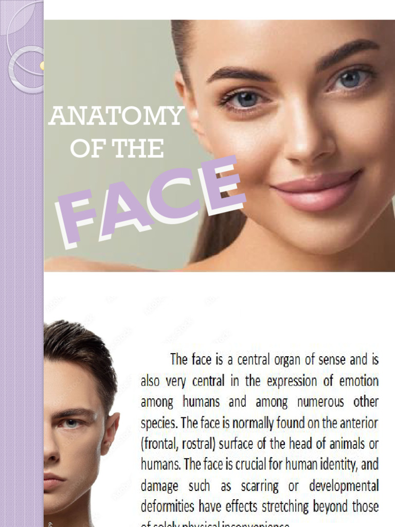 3 Common Face Problems | PDF
