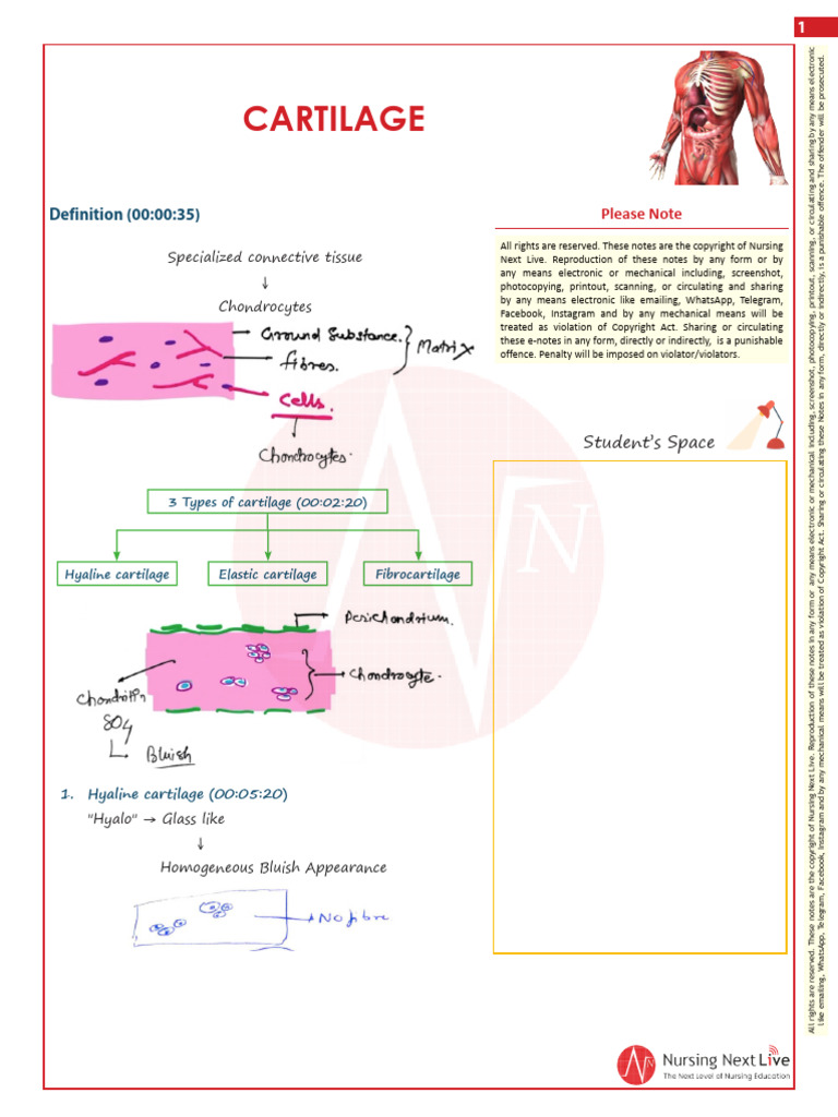 3243) Handwritten Notes Histology Cartilage Note | PDF