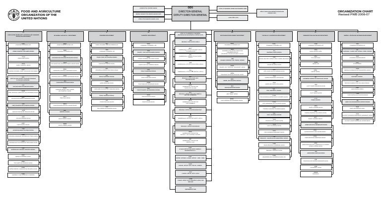FAO Structure | PDF | Food And Agriculture Organization | Agriculture