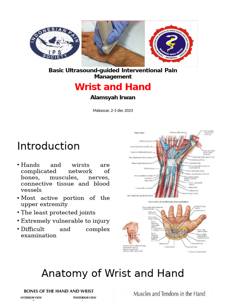 Basic USG Guided Interventional Pain Management Wrist and Hand ...