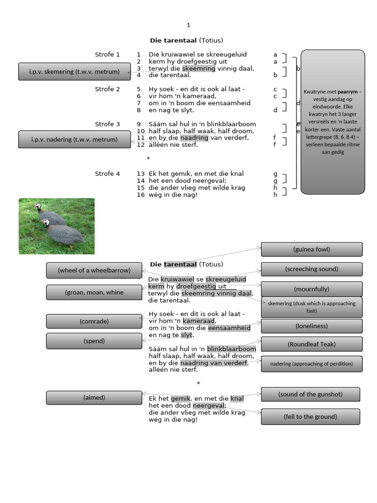 2019 GEDIG 3 Die Tarentaal (Totius) | PDF