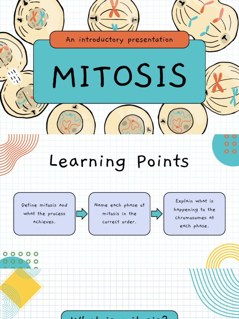 Mitosis Cell Division Biology Presentation in A Colorful Bold Style PDF ...
