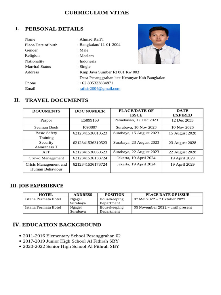 CV Rafi'i New 2 | PDF