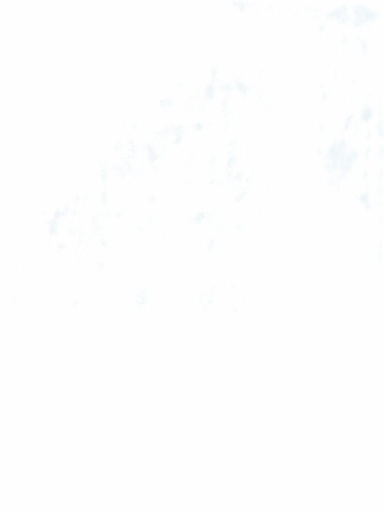 Java Springboot Pdf