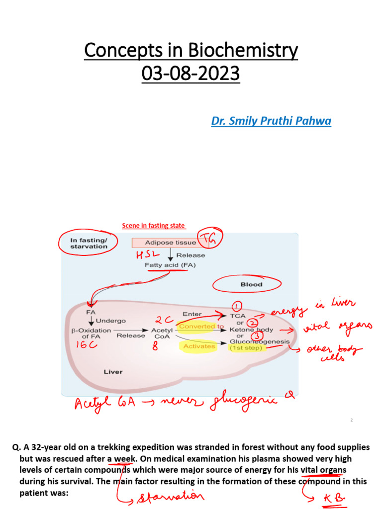 3 August Biochemistry Annotations Concepts | PDF