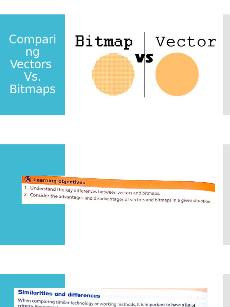4) Comparing Vectors & Bitmaps - G7 | PDF