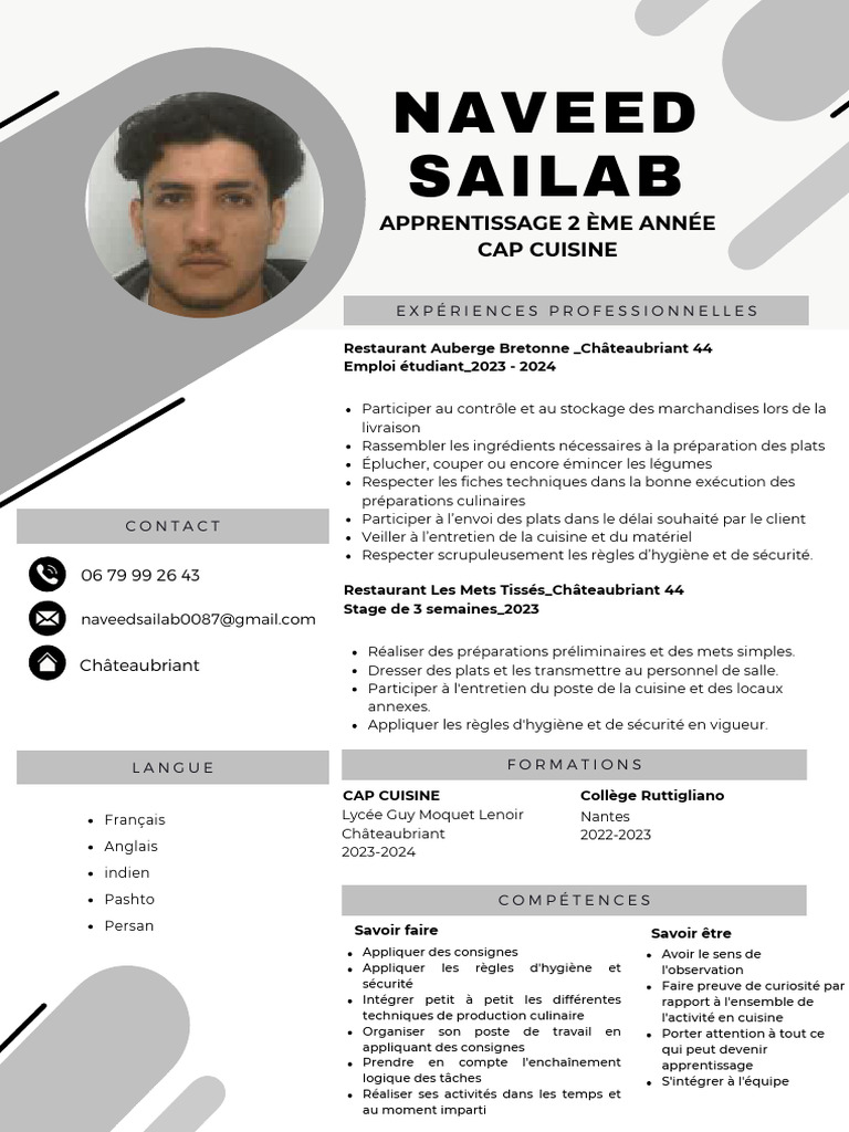 Naveed Sailab - CV | PDF