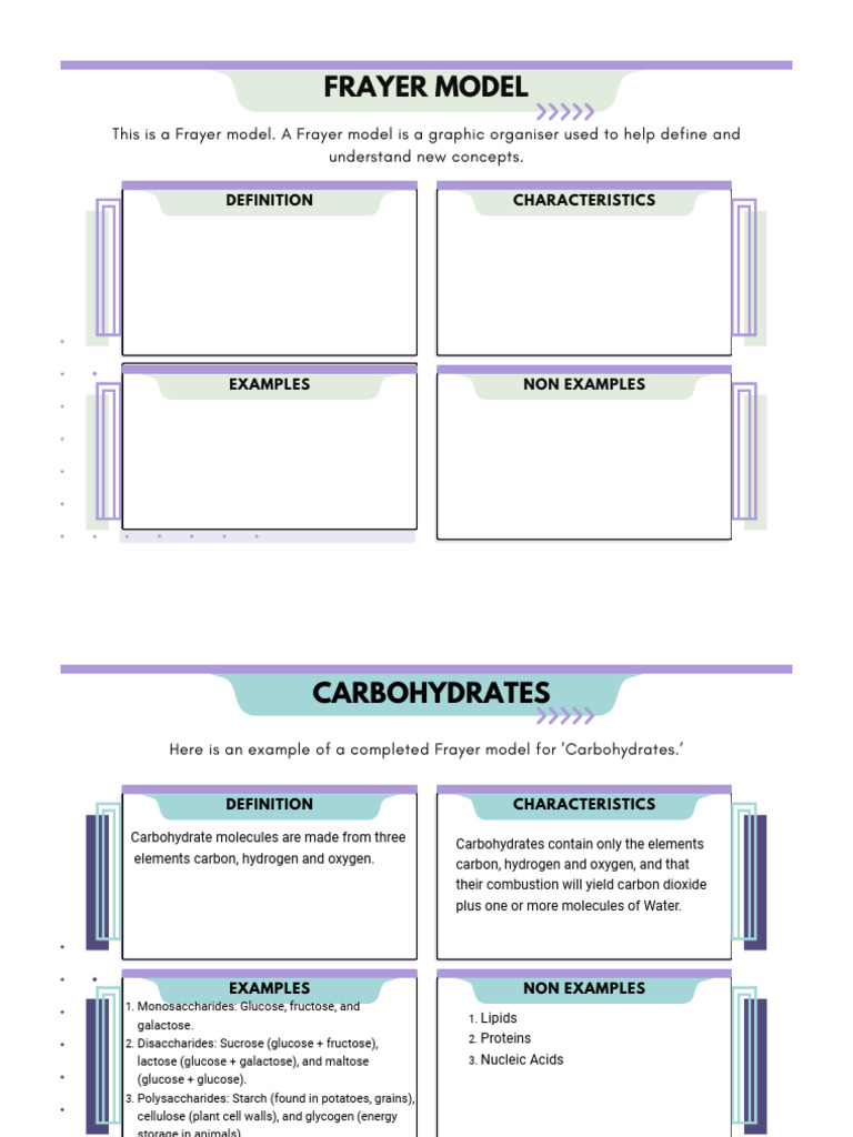 Y10 Biomolecules Frayer Model Worksheet | PDF | Carbohydrates | Glucose