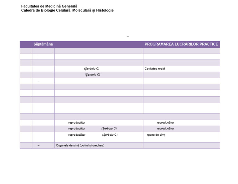 Programare Curs Si LP - An II Sem II-2023-2024 | PDF