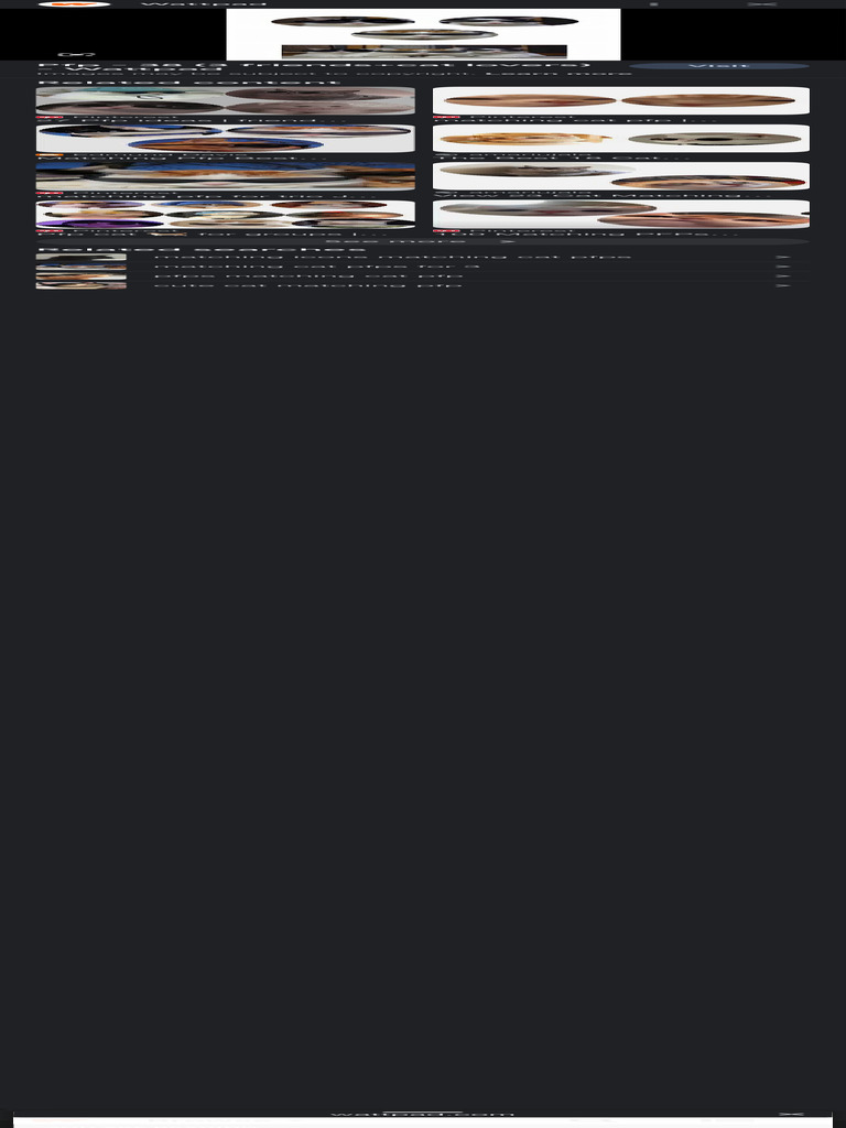 Matching Cat Pfps - Google Search | PDF