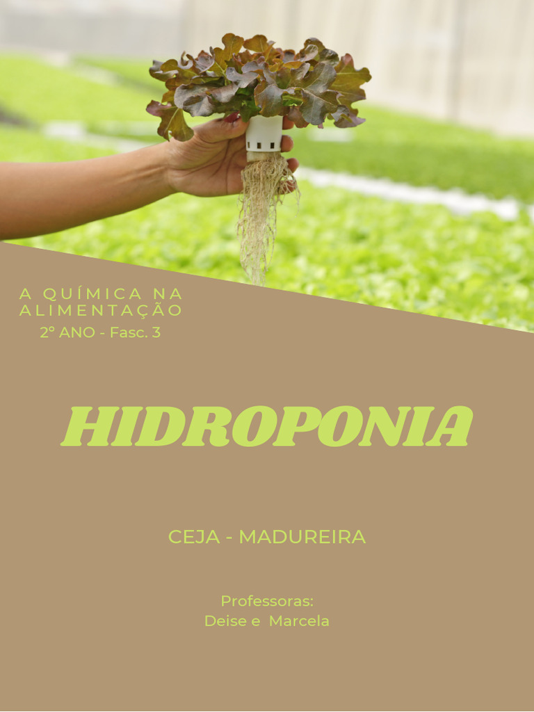 HIDROPONIA | PDF
