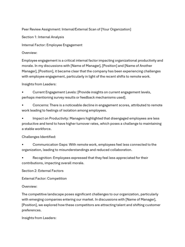 Peer Review Assignment InternalExternal Scan of (Your Organi | PDF ...