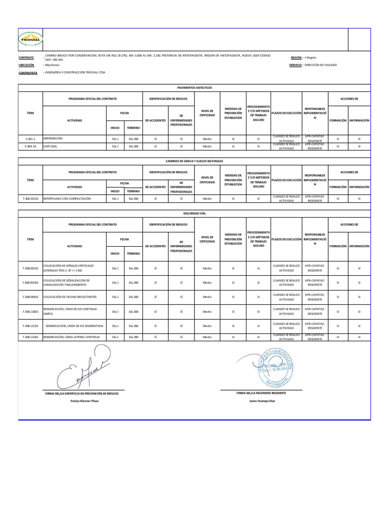 Anexo N°3 Programa Prevencion de Riesgos | PDF