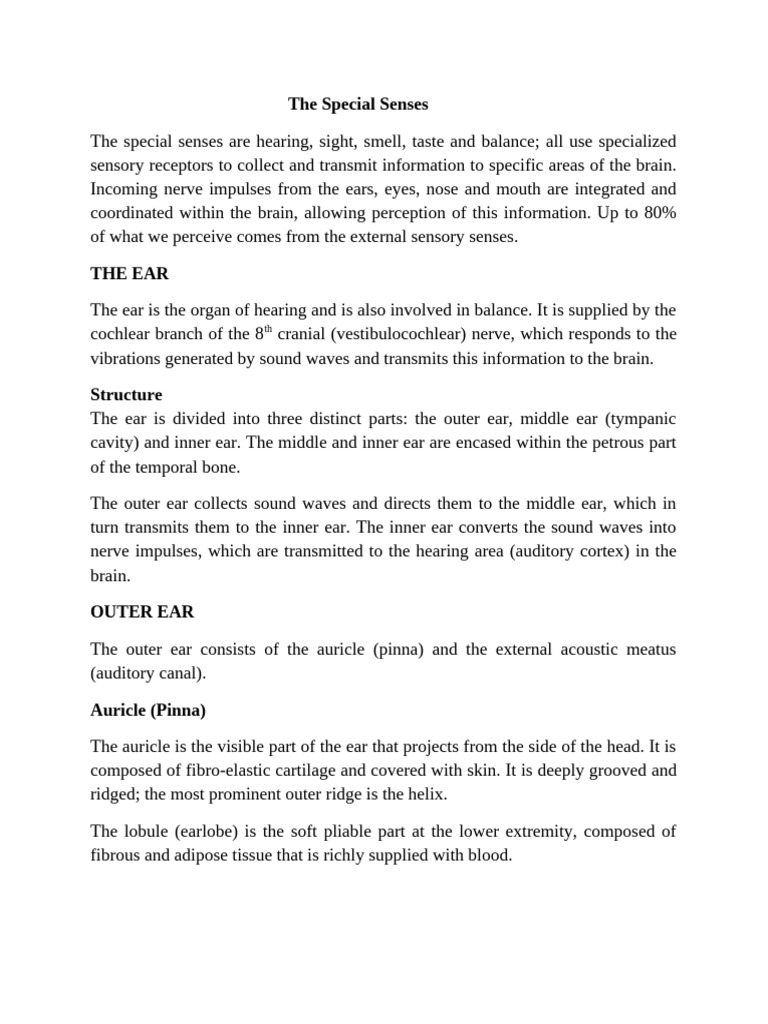 SPECIAL SENSES (The Ear) - 091907 - 104658 | PDF | Ear | Auditory System