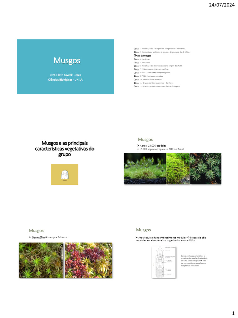Musgos | PDF