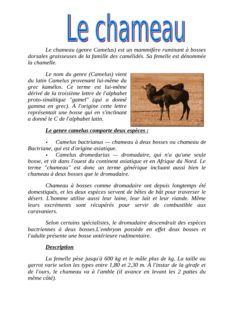 Chameau | PDF