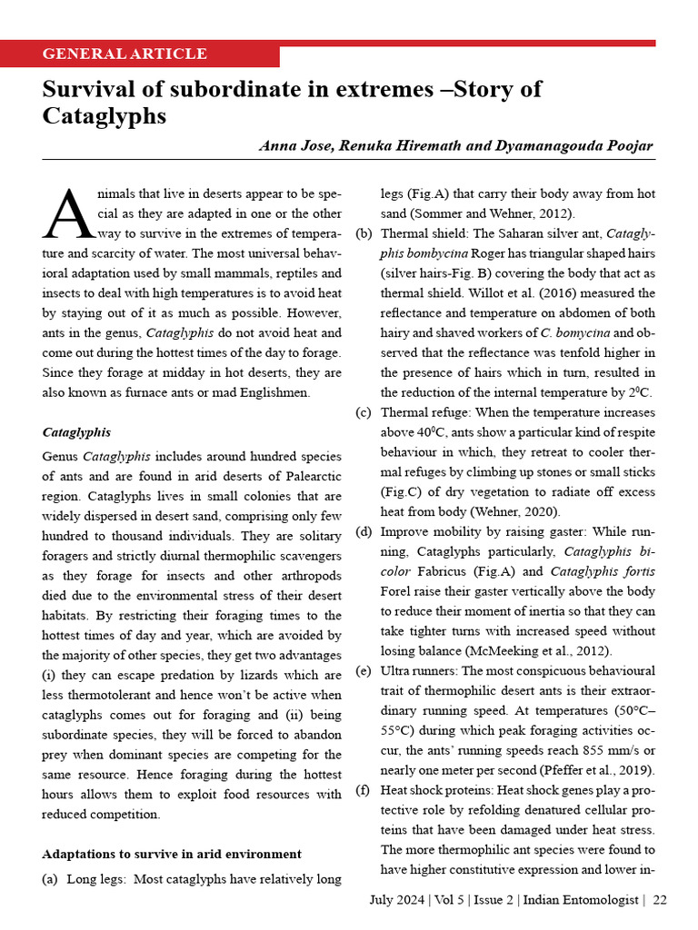 07b Survival of Subordinate in Extremes-Story of Cataglyphs | PDF | Ant | Foraging