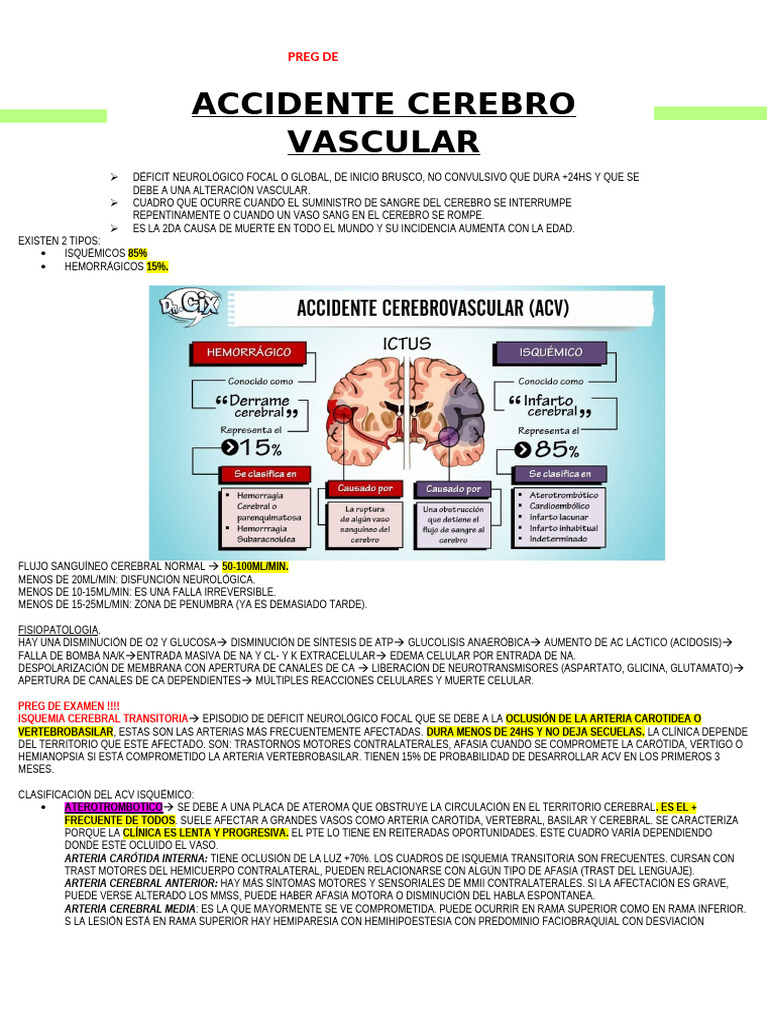 ACV Resumen | PDF