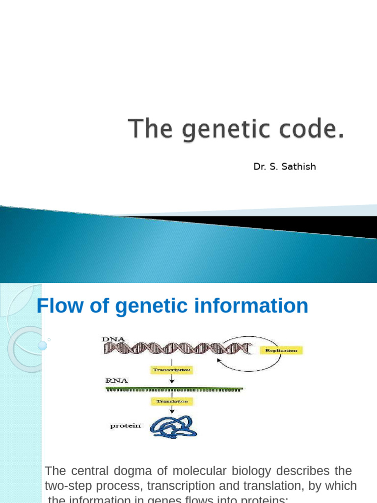 Genetic Code | PDF