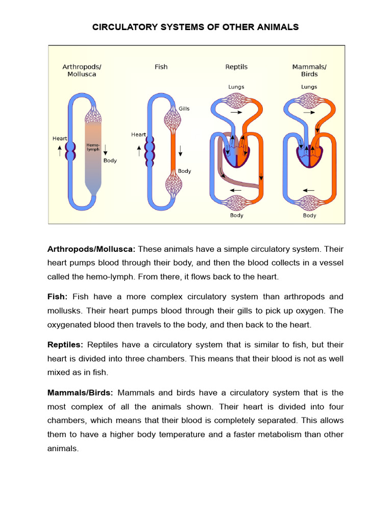 Arthropods - Mollusca - These Animals Have A Simple Circulatory System ...