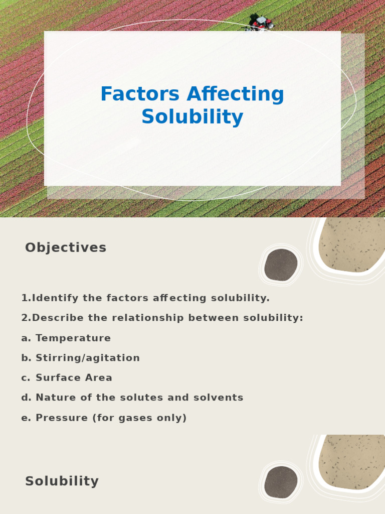 8 Factors Affecting Solubility Student | PDF