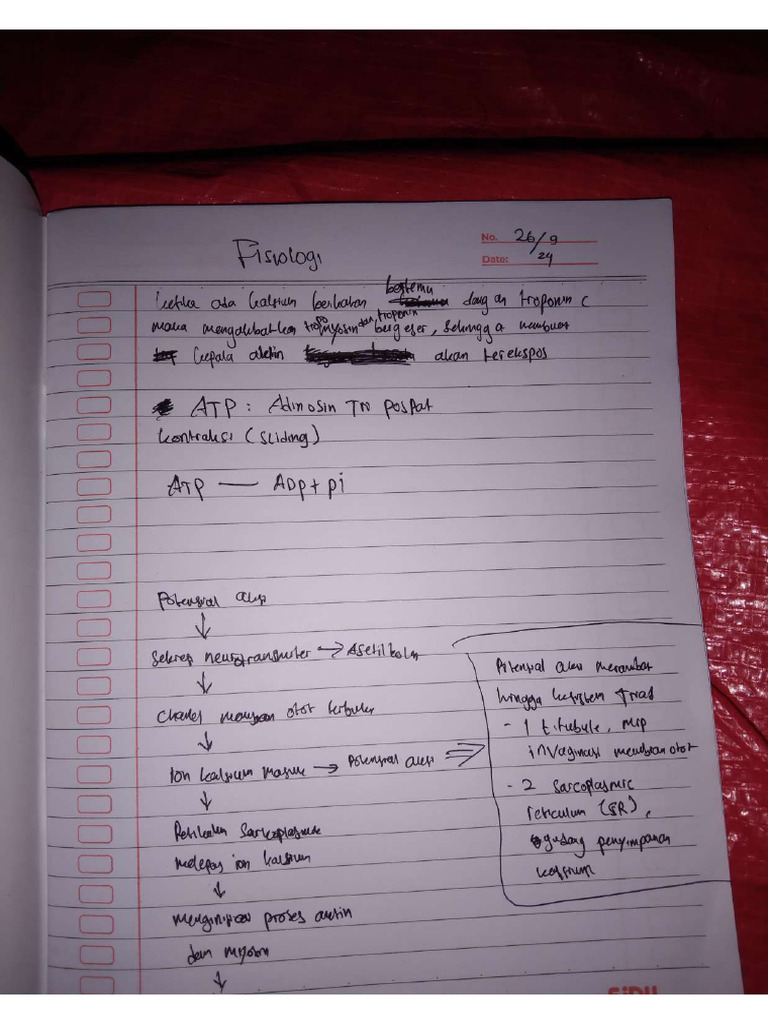 Moch Ali Mustofa 112 | PDF