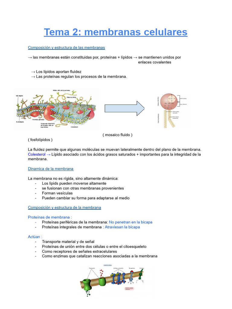 Tema 2_ membranas celulares | PDF