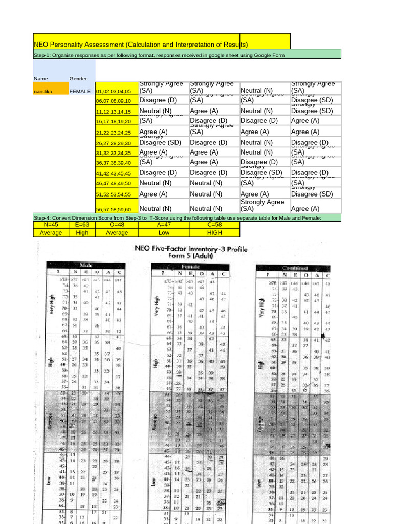 Calculation Interpretation of Personality Assessment Test | PDF