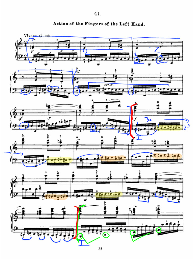 Organización Estudios Czerny | PDF