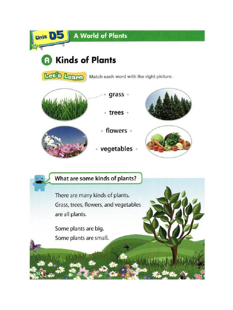Reading Key Pre K 1 | PDF