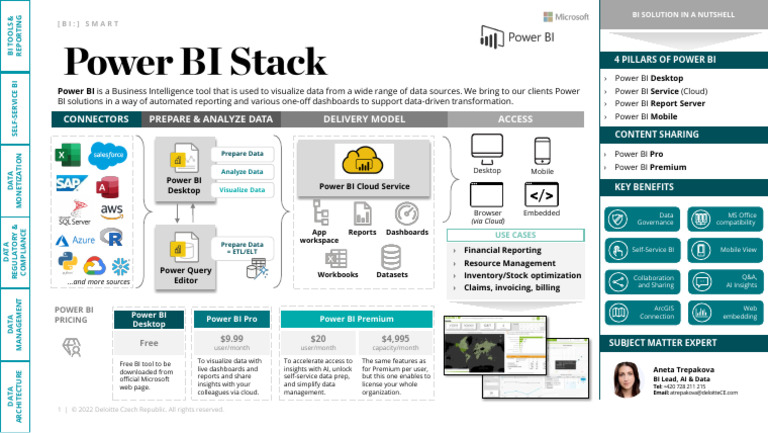 Power BI - One Pager - Web | PDF