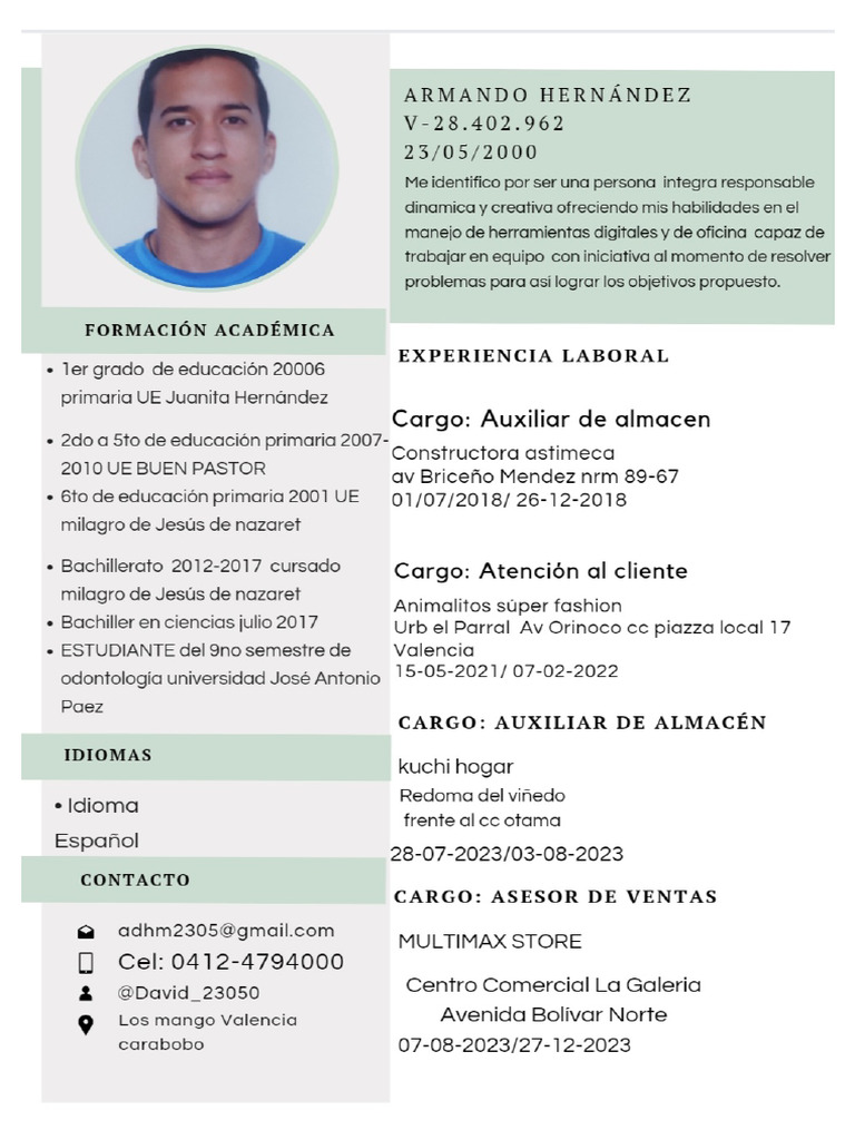 cv david ... ventas-almacen | PDF