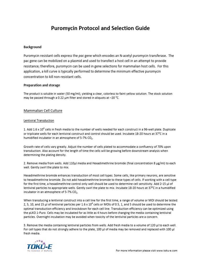 Puromycin Protocol | PDF