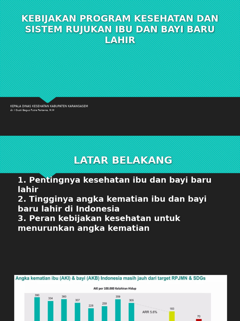 Kebijakan Program Kesehatan Dan Sistem Rujukan Ibu Dan Bayi Baru Lahir | PDF