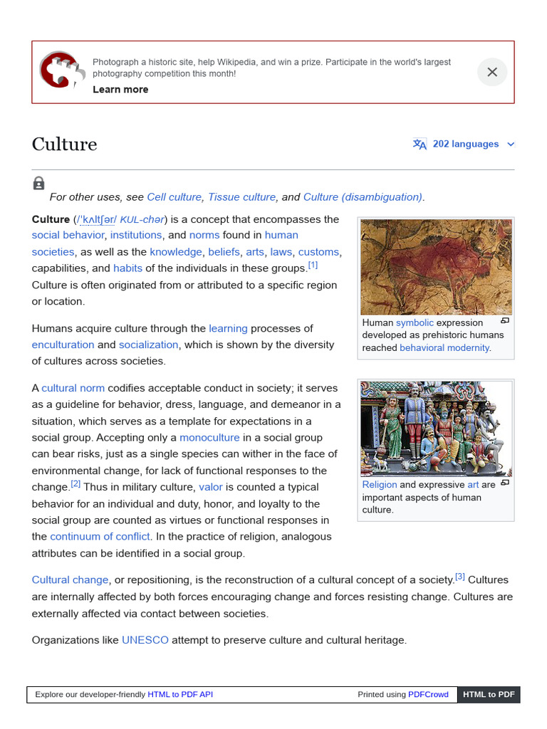 Culture | PDF