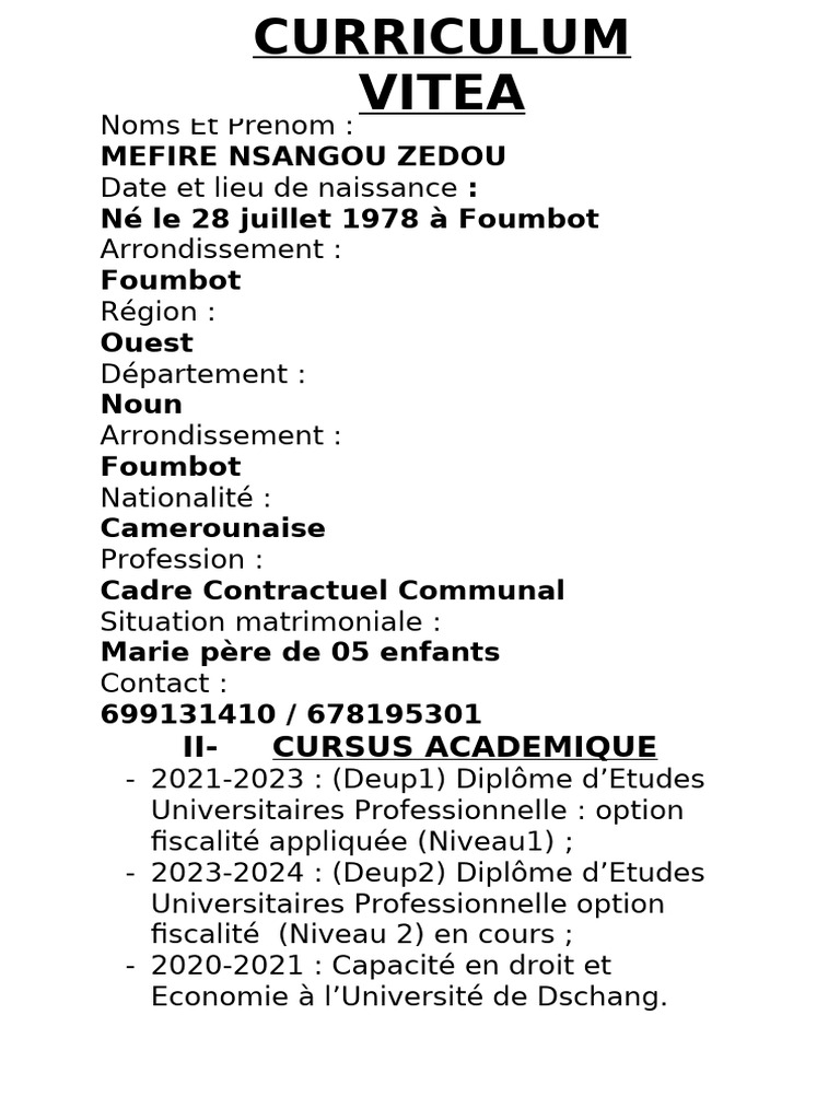 Curriculum Vitea Commmune | PDF