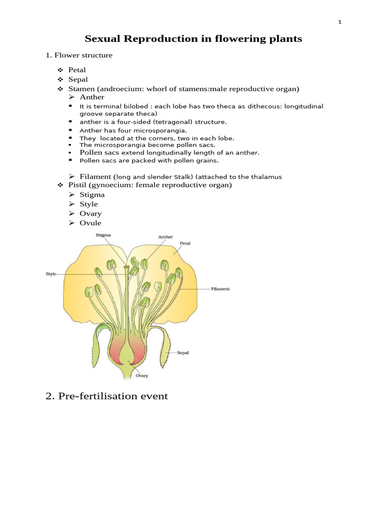 12 Clas Sexual Reproduct Flower Pla-Mind Map Rough | PDF