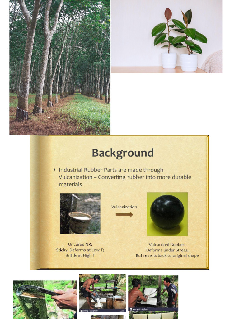 Rubber | PDF