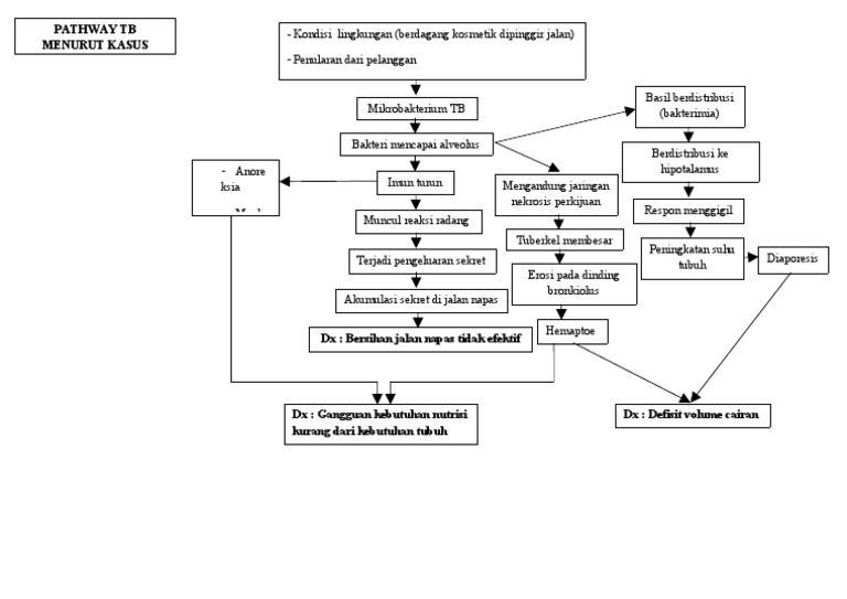 Pathway TB Menurut Kasus | PDF