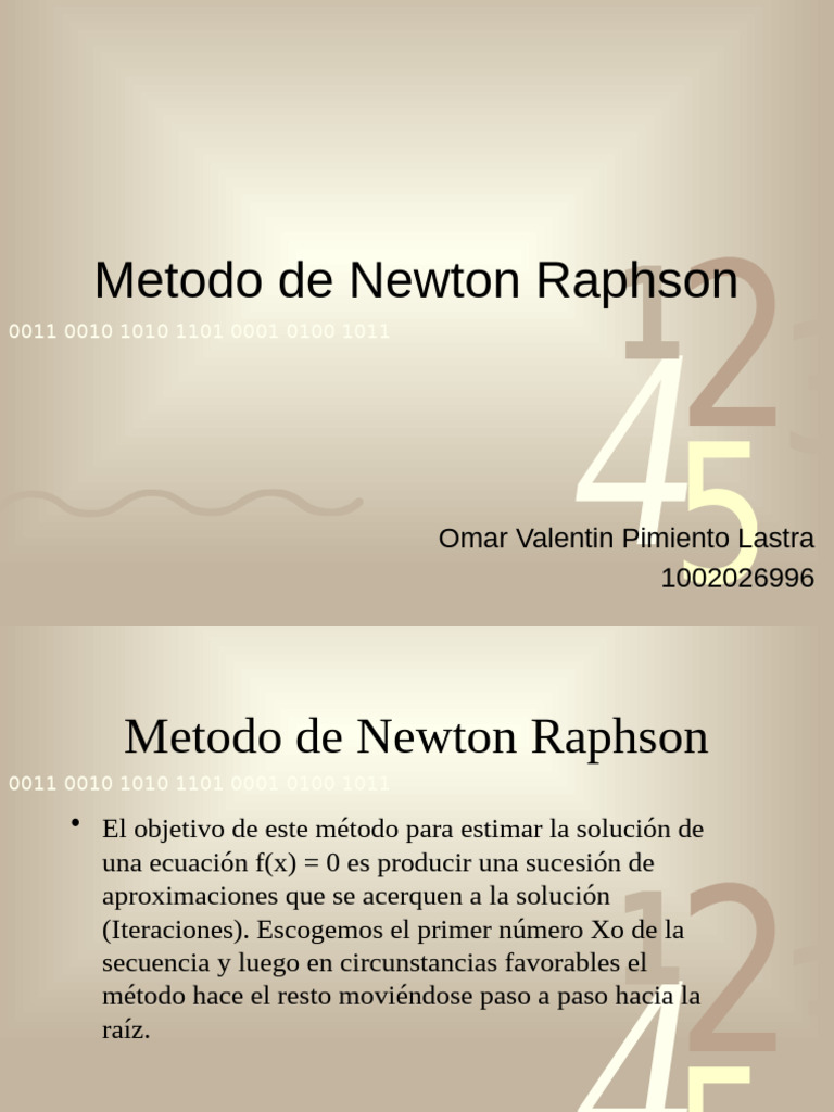 Metodo de Newton Raphson | PDF