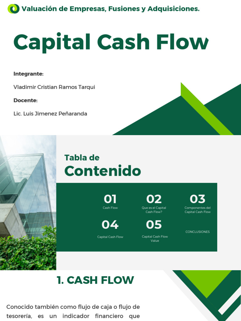 Caapital Cash Flow | PDF