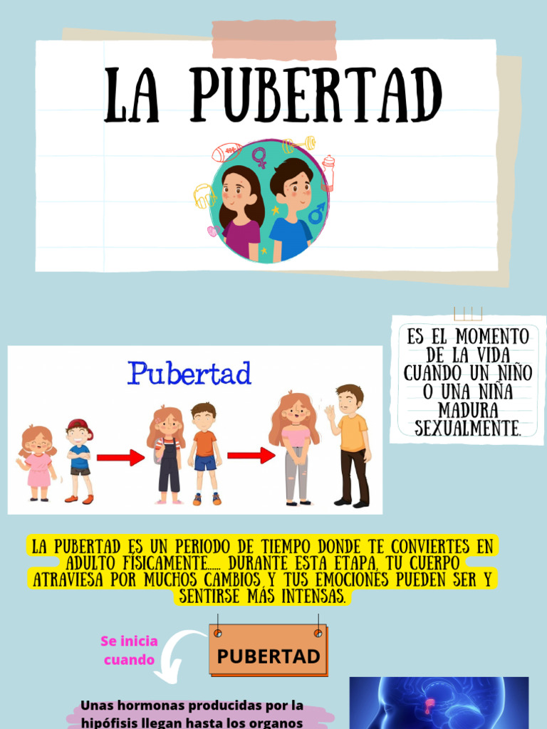La Pubertad | PDF