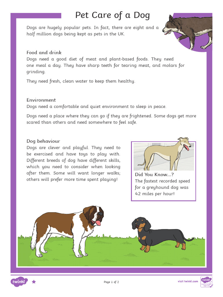 KS2 Pet Care of A Dog Differentiated Reading Comprehension Activity | PDF